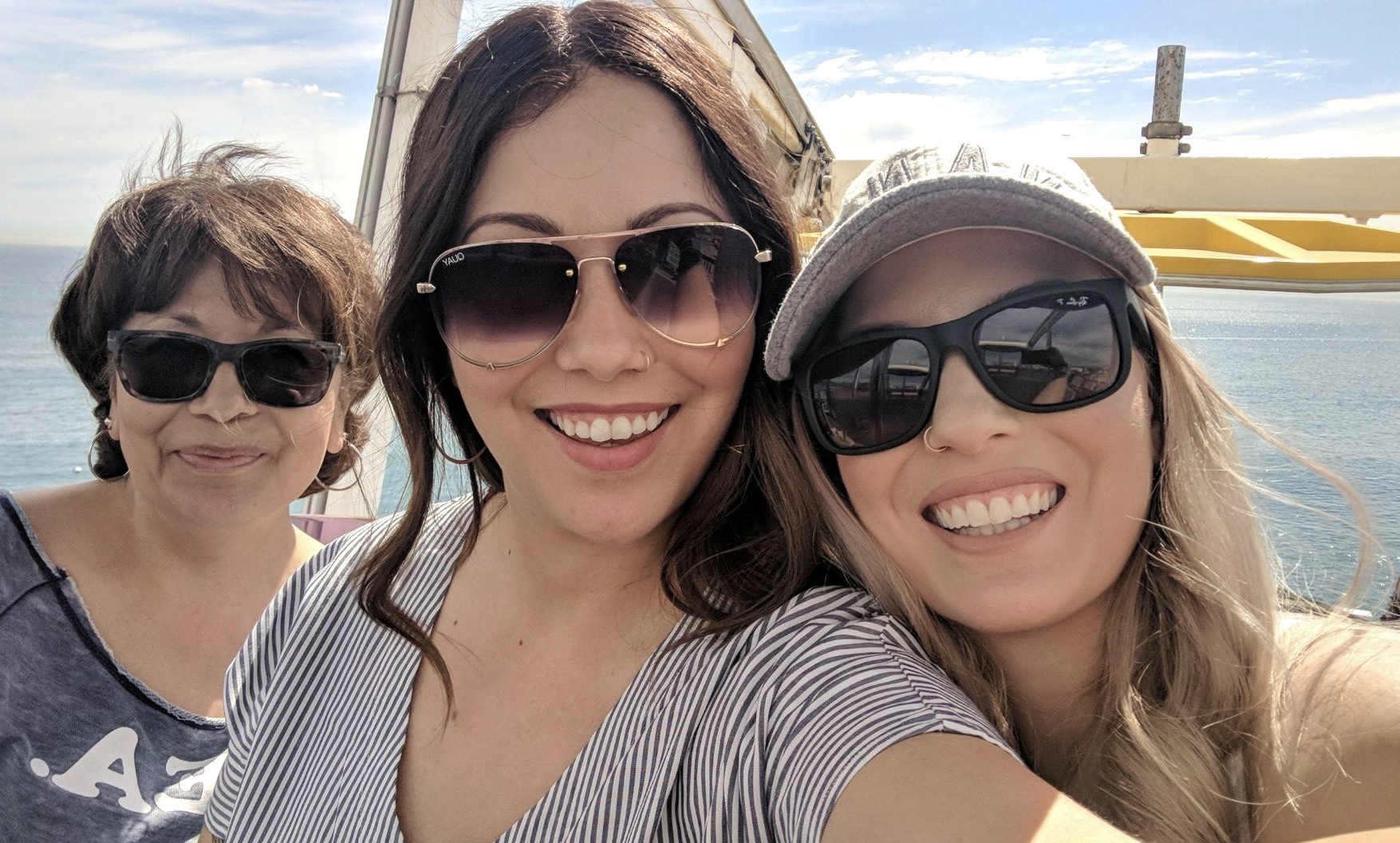 What Radicalized You? – The Real Life Vegan Wife